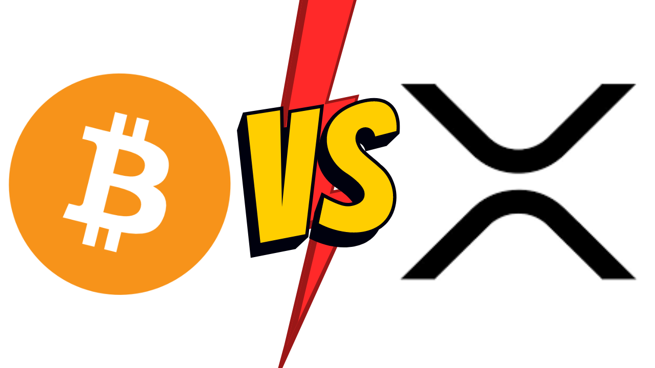 Ripple XRP - Everything You Need to Know about XRP - CBDCs - When Moon ...